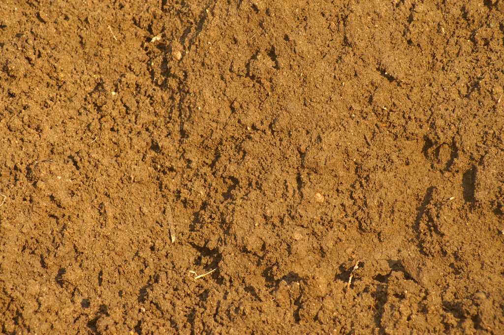 Soils & Mulches | Magnusson Farm